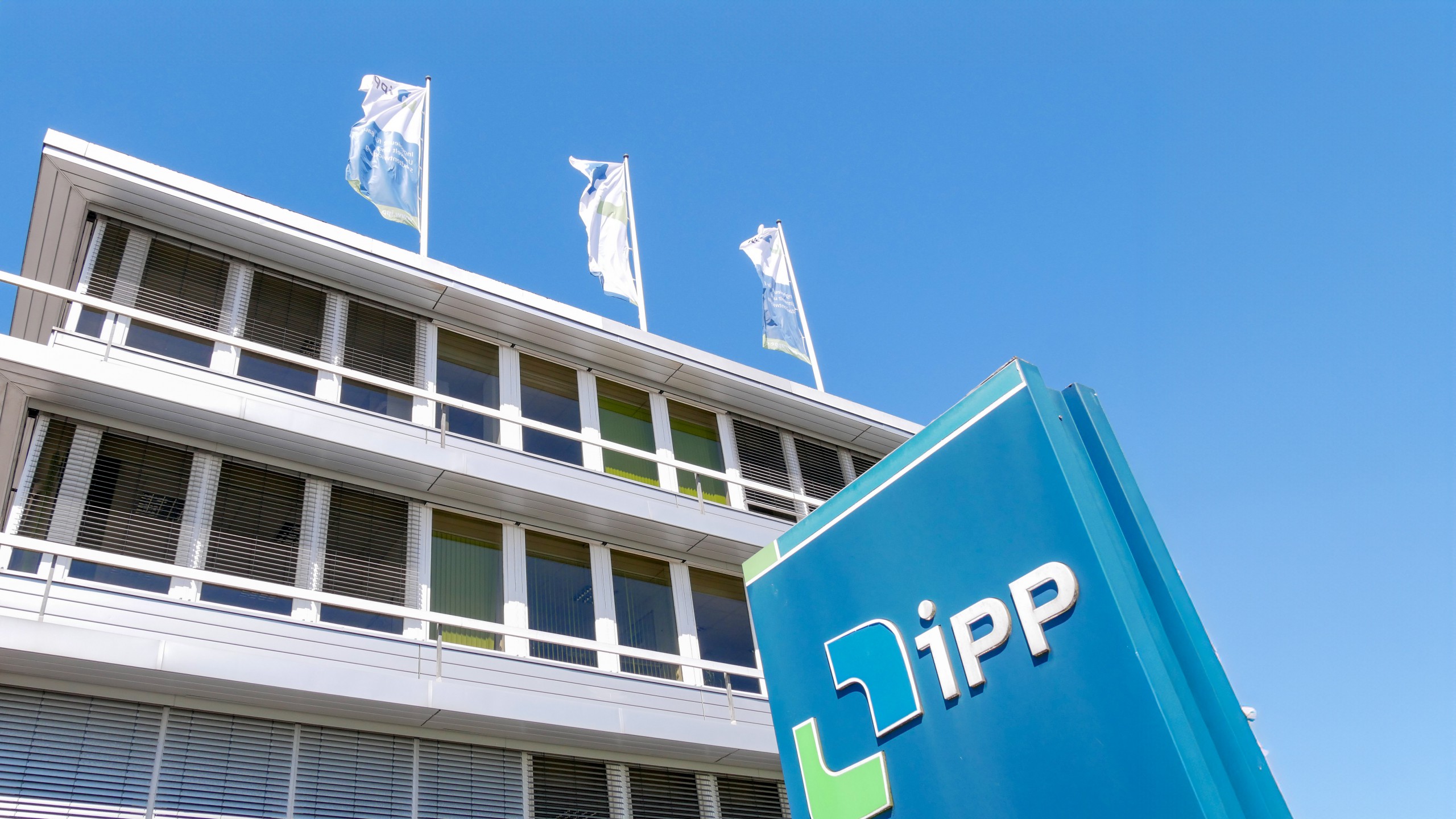 Geschäftsführung - IPP Gruppe Website